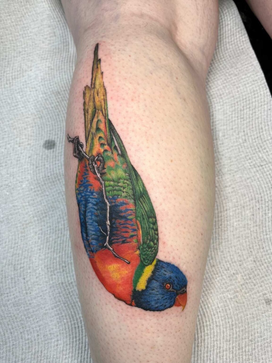 Poison Studios NZ | Tattoo Shop Hamilton, Tattoos, Nails